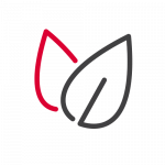 DPD boxes - send and pick up your parcels anytime | DPD