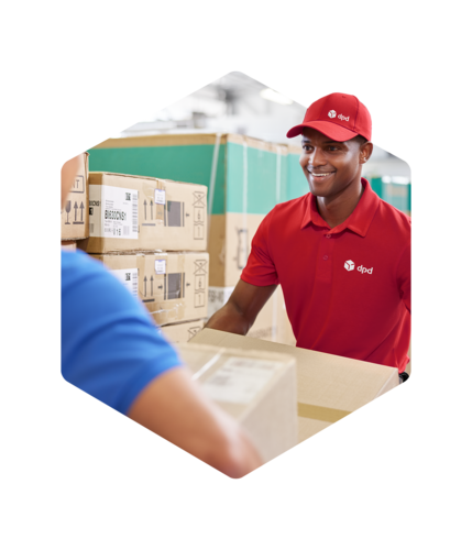 Portals login | DPD France